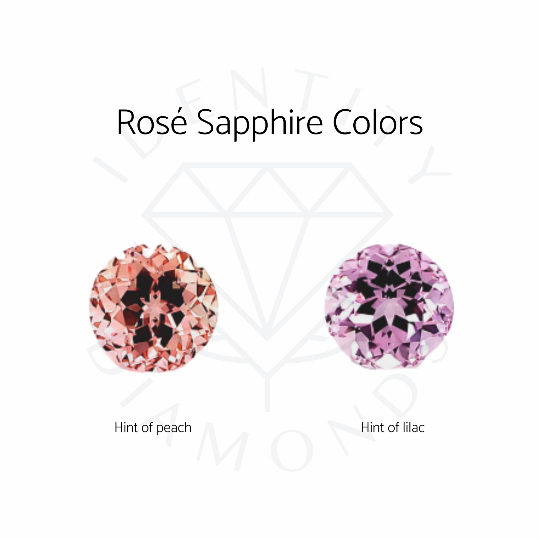 Anastasia Rosé Sapphire Engagement Ring – Identity Diamonds
